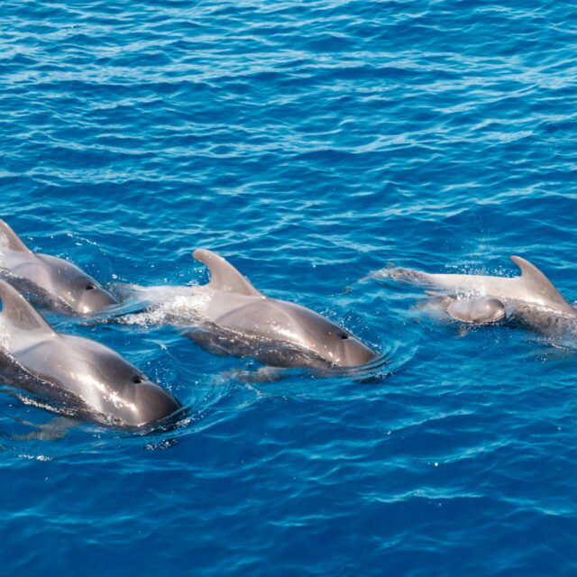 TUI experiences - alle Infos für dich