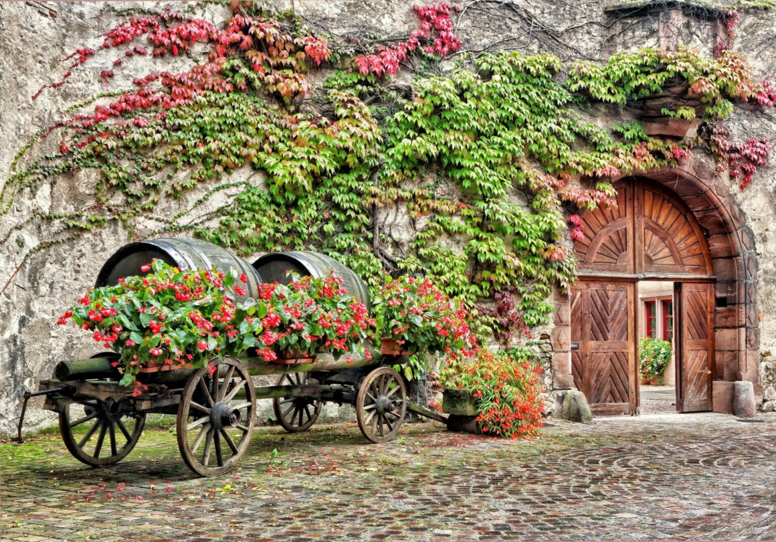 Elsass - die besten Tipps für deinen Urlaub