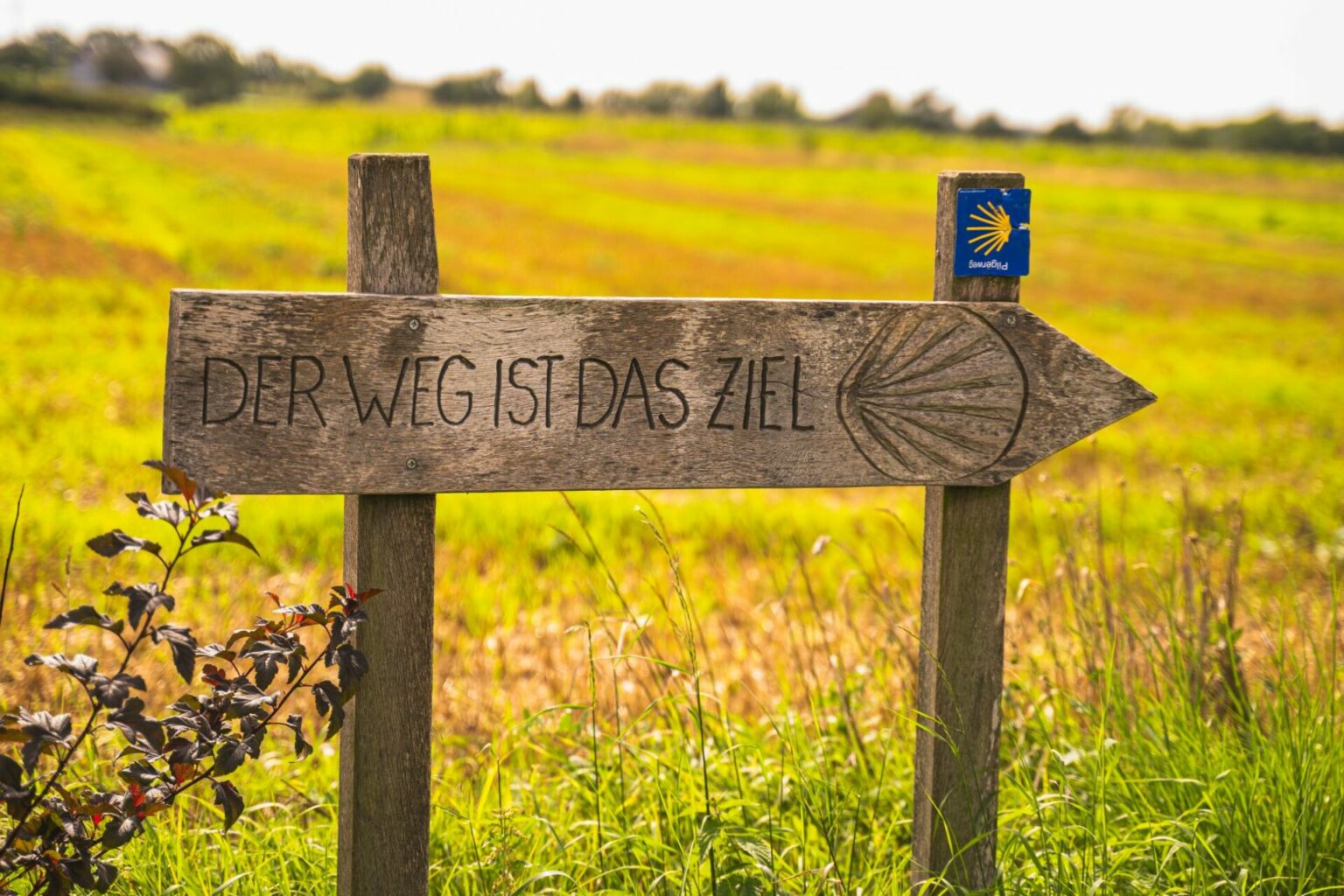 Die schönsten Pilgerwege in Deutschland